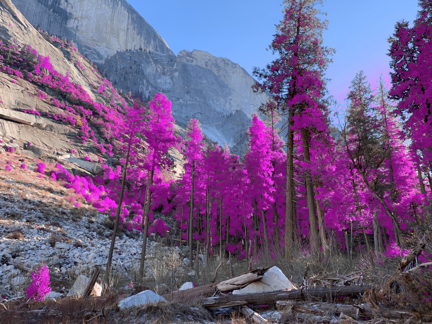 Turn your iPhone into a streaming source, and add filters, with the ...