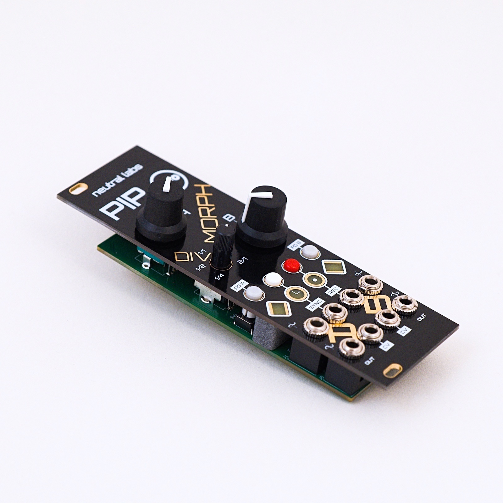 Neutral Labs Pip module: morphable, complex LFOs designed to be paired ...