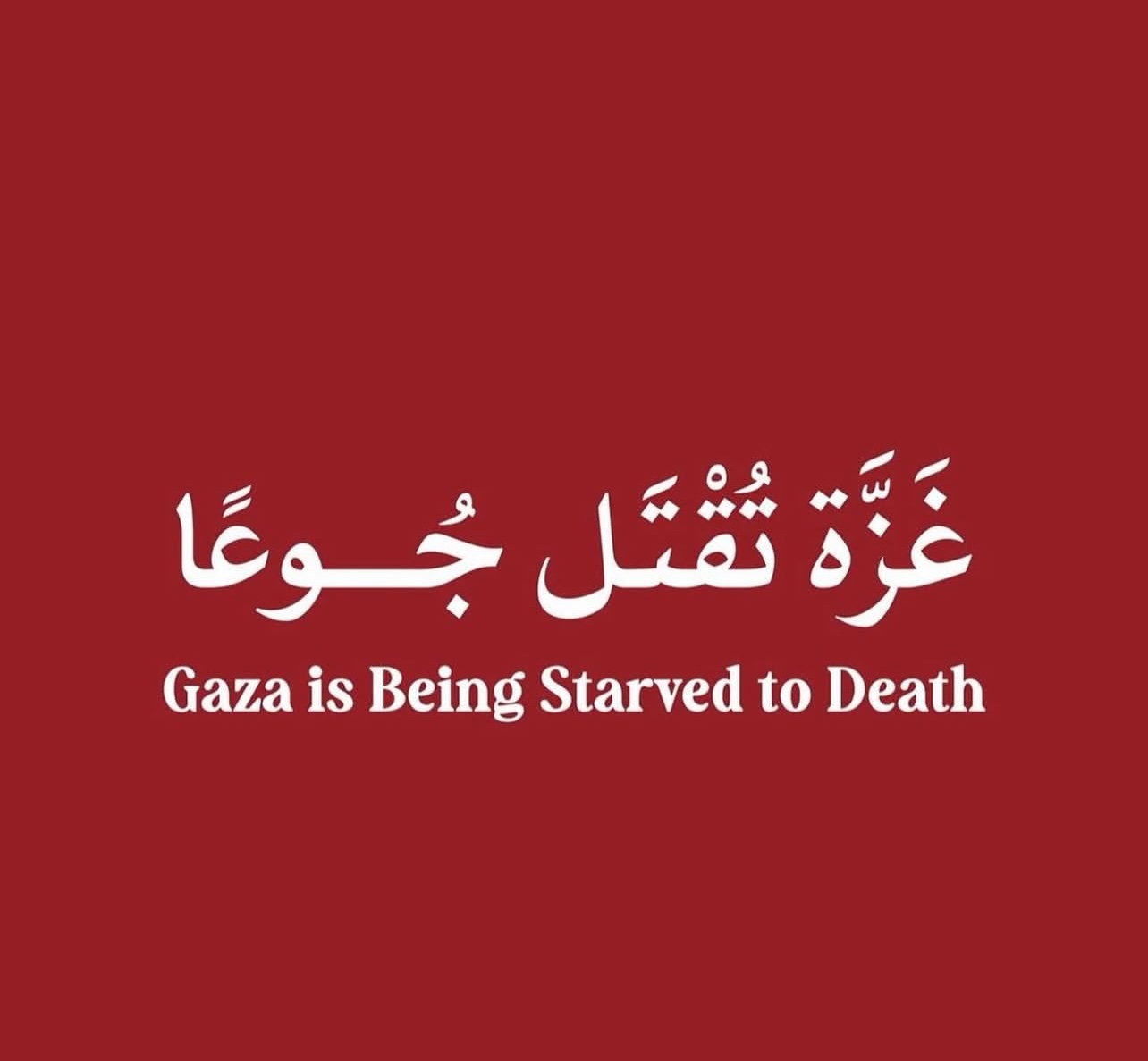 No more music; Gaza is starving - CDM Create Digital Music